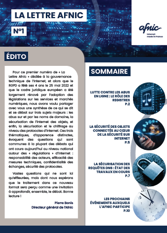 La Lettre Afnic à destination des décideurs publics - Afnic
